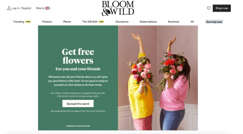 Bloom & Wild’s Marketing Strategy to Become The 2nd Fastest-Growing ...