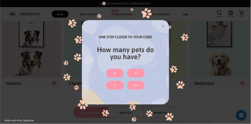 6 Examples of AB Testing From Real Businesses - OptiMonk Blog