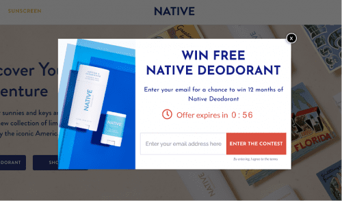 Ecommerce Homepage Design Best Practices with 21 Examples - OptiMonk Blog