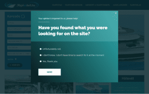 11 Website Popup Survey Examples to Collect Customer Feedback ...