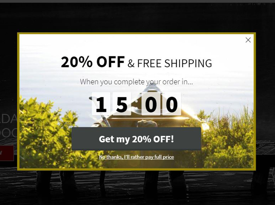 19 Discount Popup Examples To Elevate Your Sales Promotion OptiMonk Blog