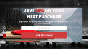 19 Discount Popup Examples to Elevate Your Sales Promotion - OptiMonk Blog