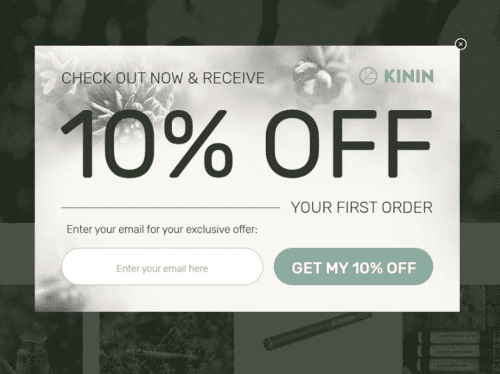 19 Discount Popup Examples to Elevate Your Sales Promotion - OptiMonk Blog