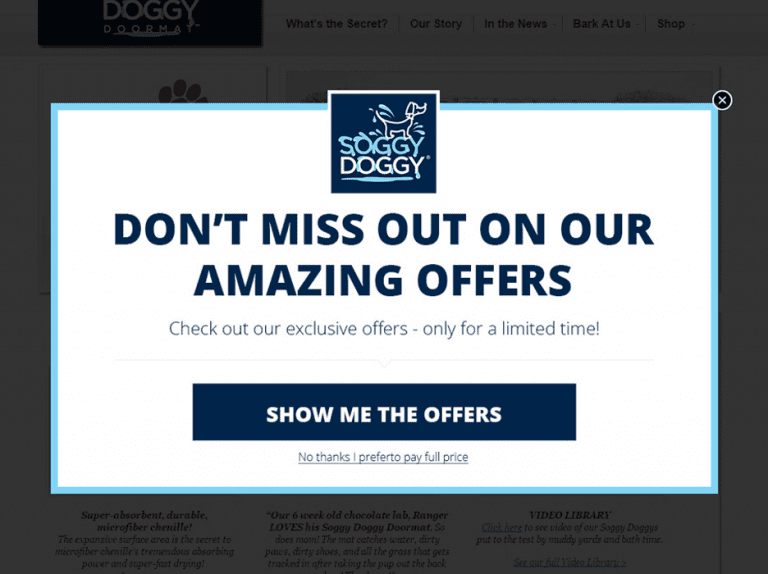 19 Discount Popup Examples to Elevate Your Sales Promotion - OptiMonk Blog
