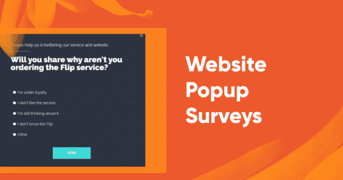 11 Website Popup Survey Examples to Collect Customer Feedback ...